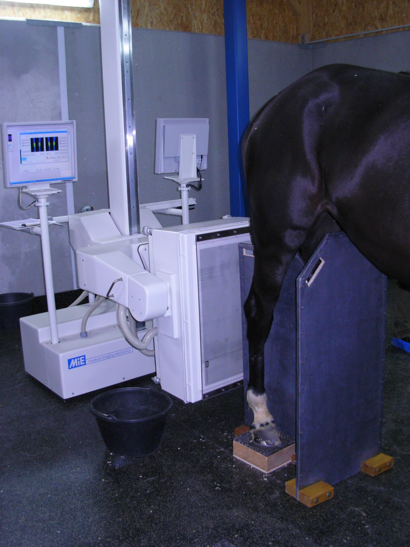 Scintigraphie - www.chve-livet.com